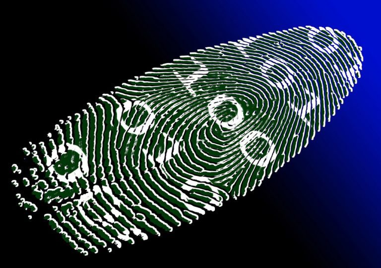 Data Protection Problems Principles And Identity Solutions data-protection-problems-principles-and-identity-solutions