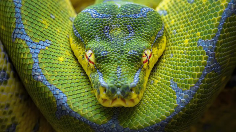 Python File Inputoutput Read And Write Files In Python 0221